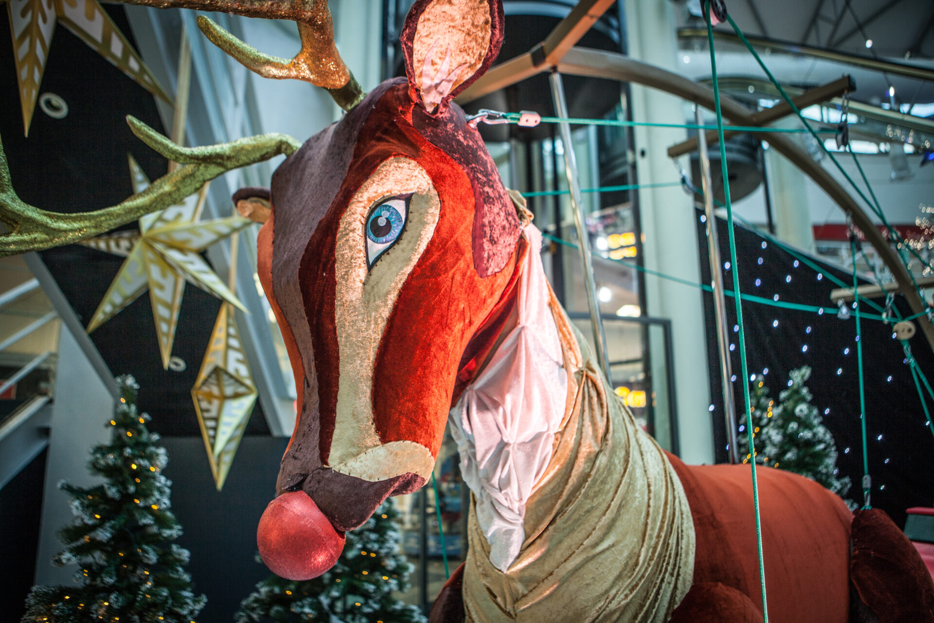 Santa’s Flight School | Raring2go!