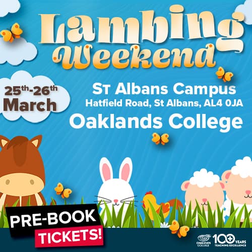 Lambing Weekend | Raring2go!