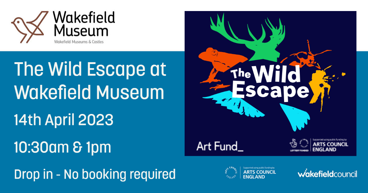 The Wild Escape at Wakefield Museum | Raring2go!