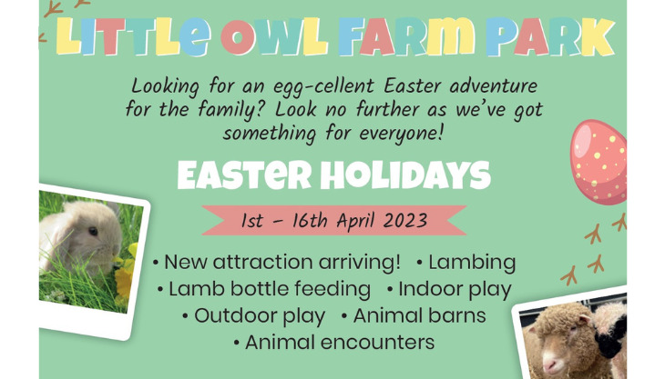Easter at Little Owl Farm