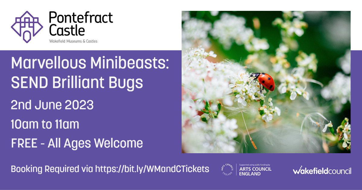 Marvellous Minibeasts Week: SEND Brilliant Bugs | Raring2go!
