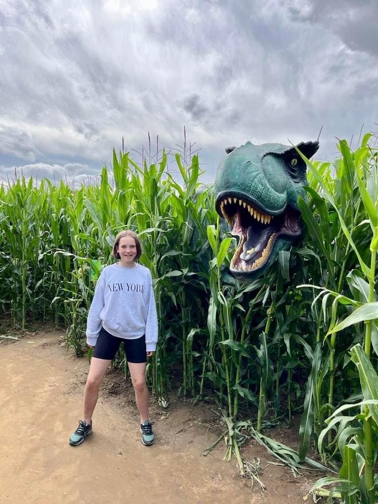 Review: York Maze | Raring2go!