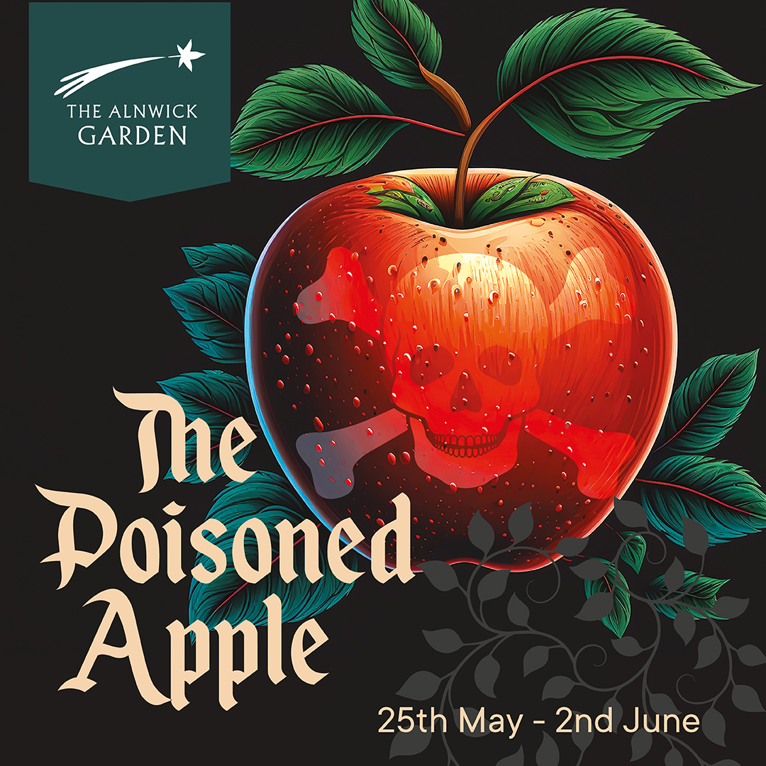 The Three Bears, Northern Stage | Raring2go!